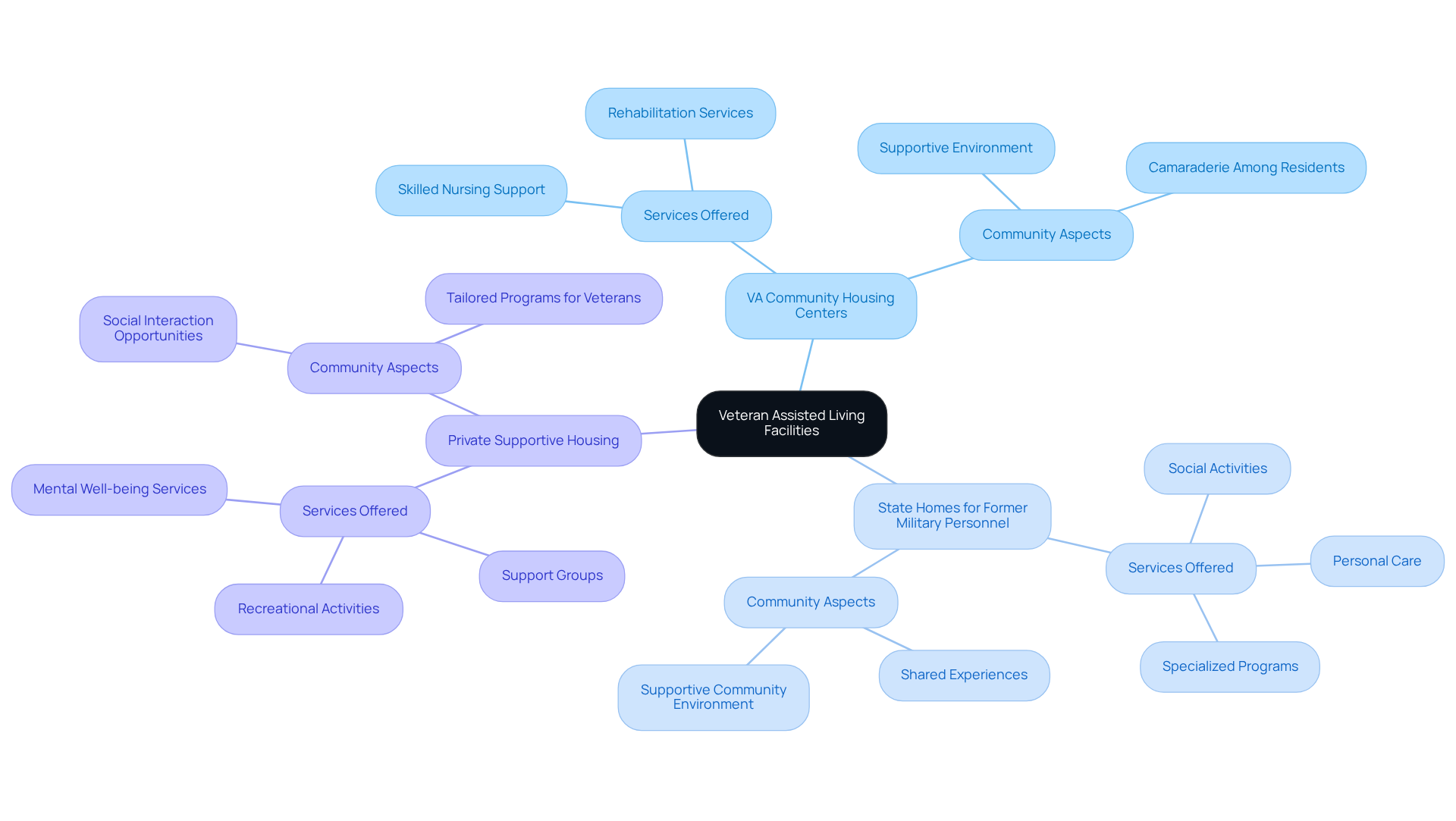 The central node represents the overall topic, while each branch highlights different types of facilities. Sub-branches provide specific details about the services and characteristics of each option, helping families understand their choices.