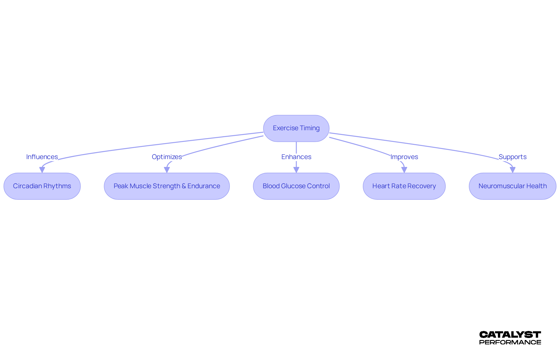 Follow the arrows to see how understanding exercise timing can enhance your performance and health. Each box represents a key concept that contributes to optimizing your workout schedule. Follow the arrows to see how understanding exercise timing can enhance your performance and health. Each box represents a key concept that contributes to optimizing your workout schedule.