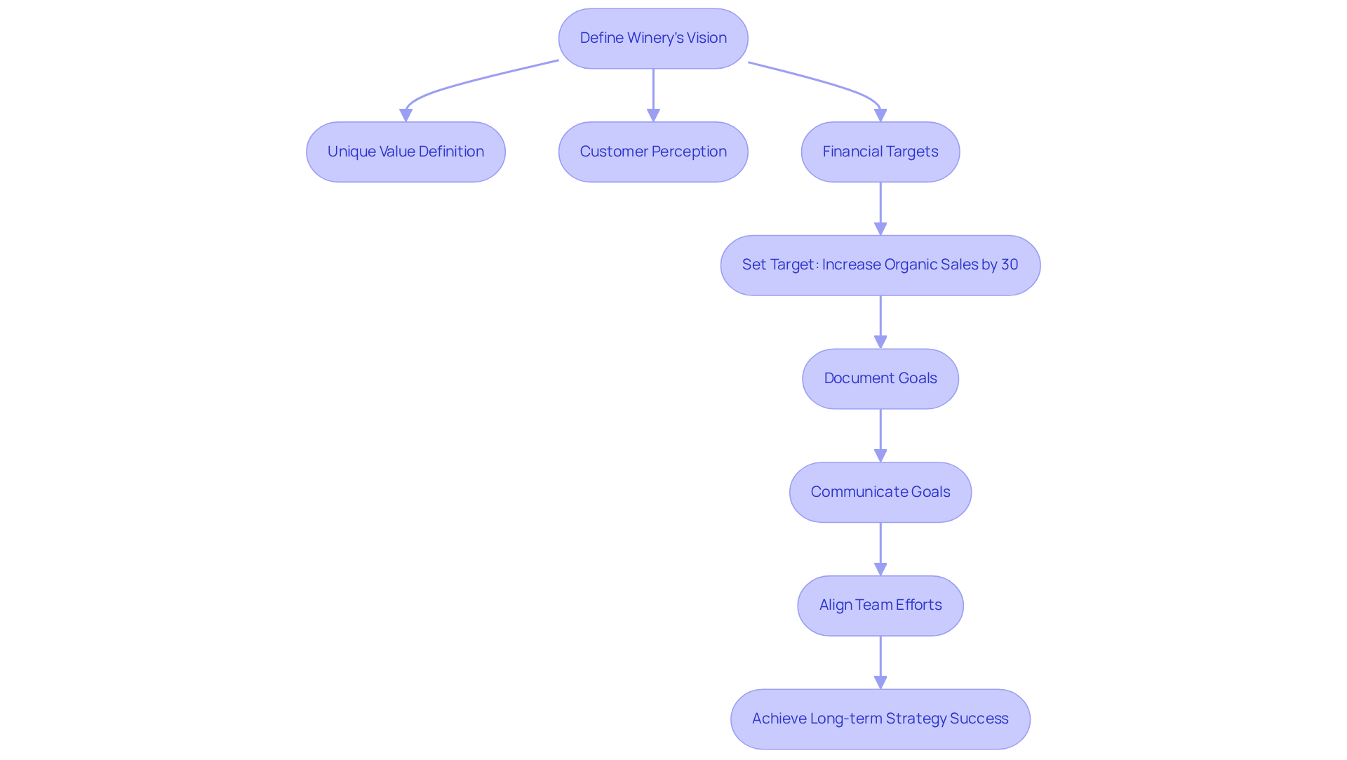 Follow the arrows to see the process of defining your winery's vision — each step builds on the previous one, leading to actionable goals that align your team's efforts.