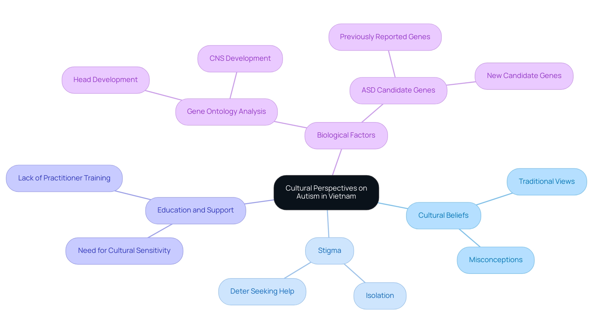 The central node represents the topic, with branches showing key themes and sub-branches detailing specific aspects related to autism and cultural perceptions.