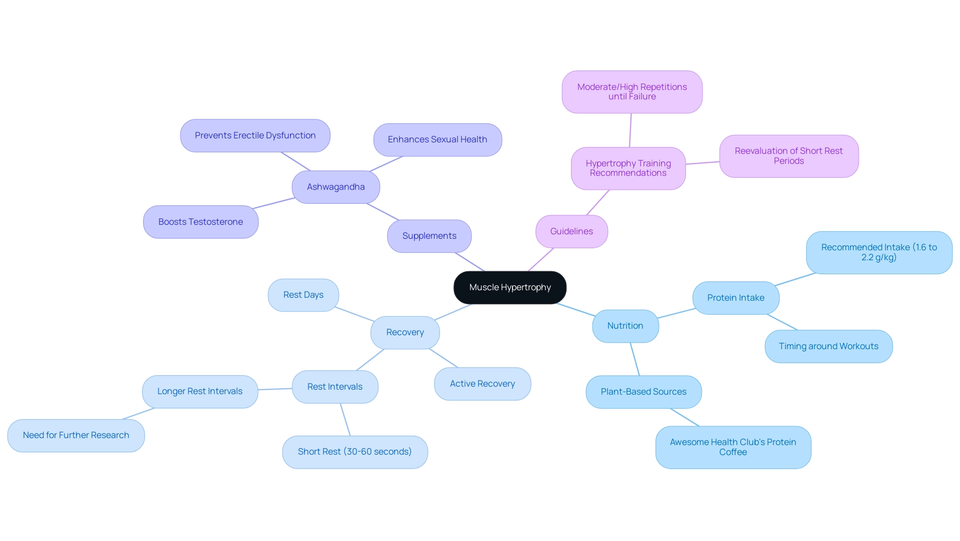 The central node represents muscle hypertrophy, with branches for key areas: Nutrition (green), Recovery (blue), Supplements (orange), and Guidelines (purple).