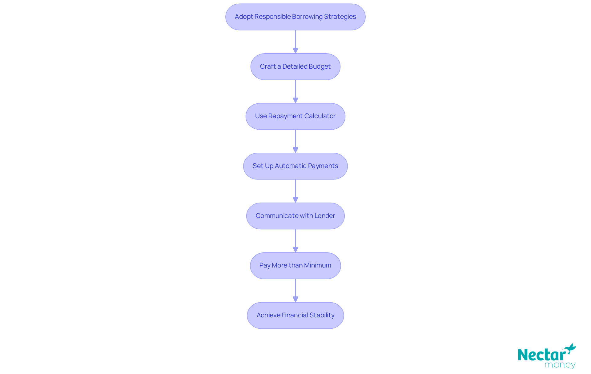 Follow the arrows to see the recommended steps for managing your borrowing responsibly. Each step builds on the previous one, guiding you towards better financial health. Follow the arrows to see the recommended steps for managing your borrowing responsibly. Each step builds on the previous one, guiding you towards better financial health.