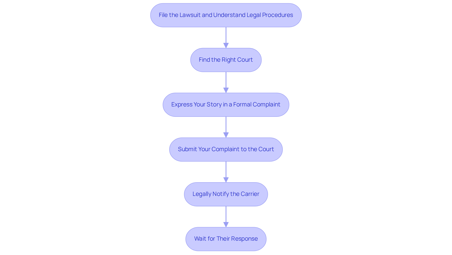 Each box represents a step in the lawsuit process. Follow the arrows to see how each action leads to the next, guiding you through the legal journey. Each box represents a step in the lawsuit process. Follow the arrows to see how each action leads to the next, guiding you through the legal journey.