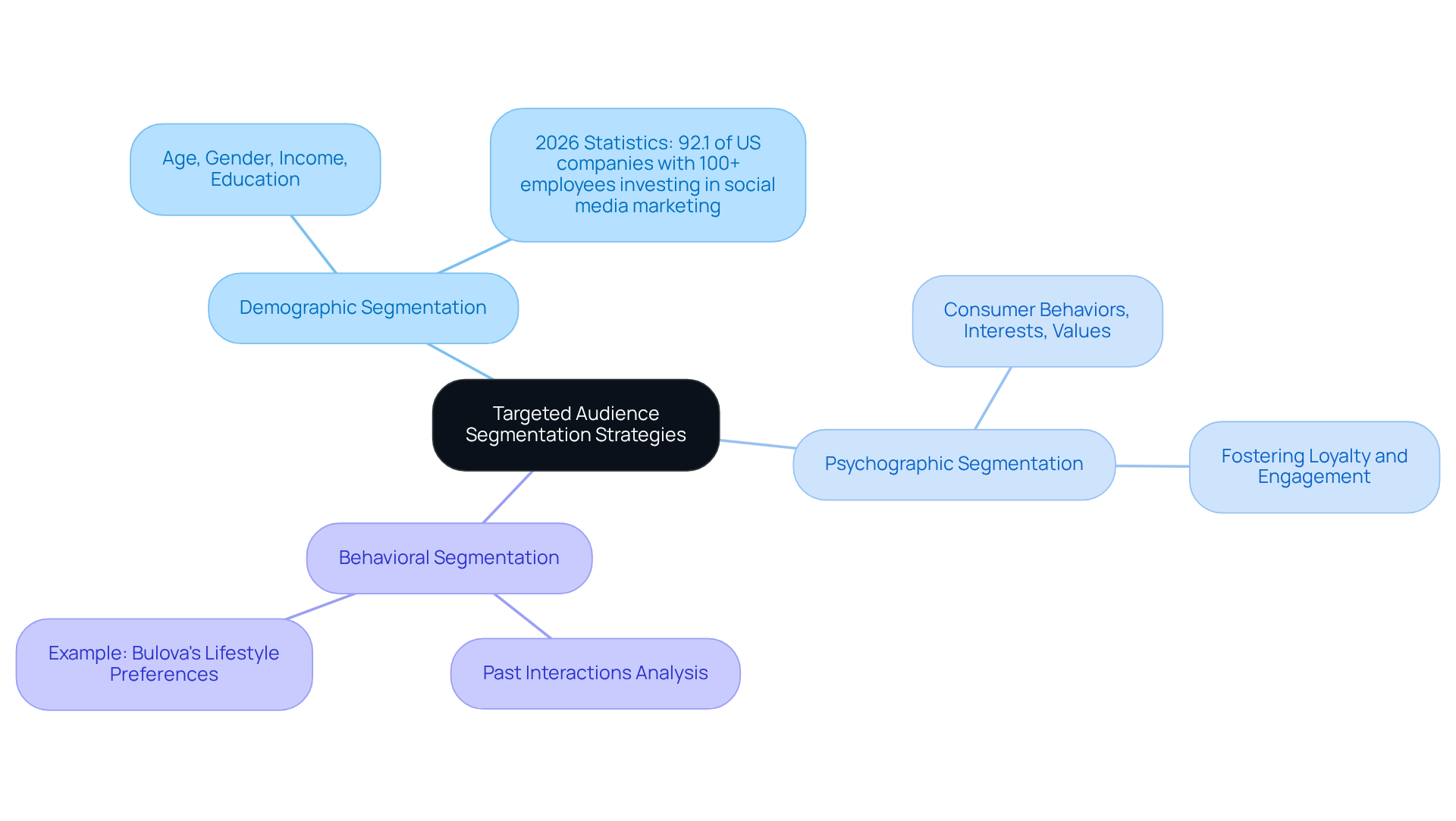 The central node represents the main theme of audience segmentation. Each branch shows a different strategy, and the sub-branches provide more details or examples. This layout helps you see how each strategy connects to the overall goal of effective advertising. The central node represents the main theme of audience segmentation. Each branch shows a different strategy, and the sub-branches provide more details or examples. This layout helps you see how each strategy connects to the overall goal of effective advertising.
