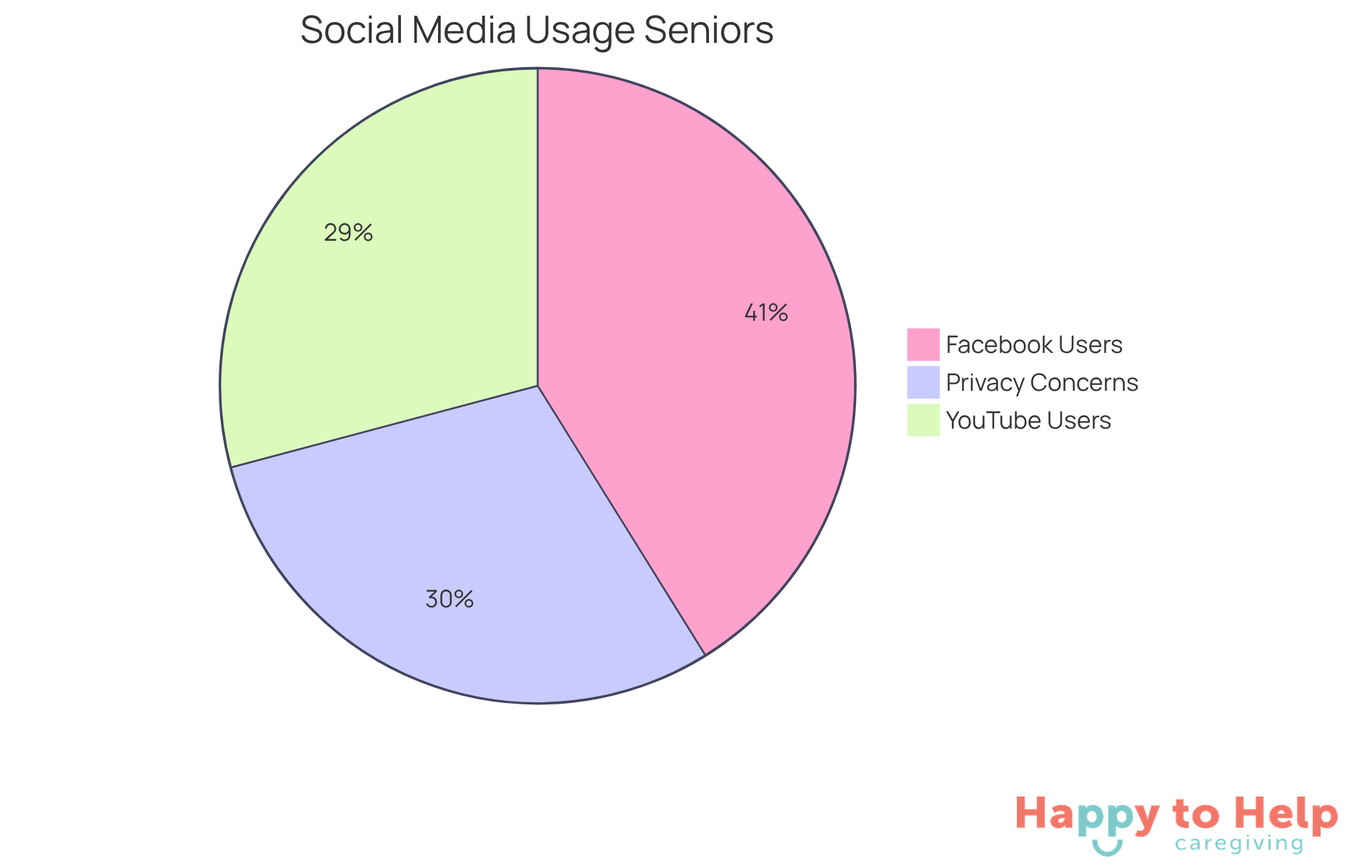 Each slice represents a different aspect of social media usage among seniors - the larger the slice, the more significant the proportion of users or concerns.