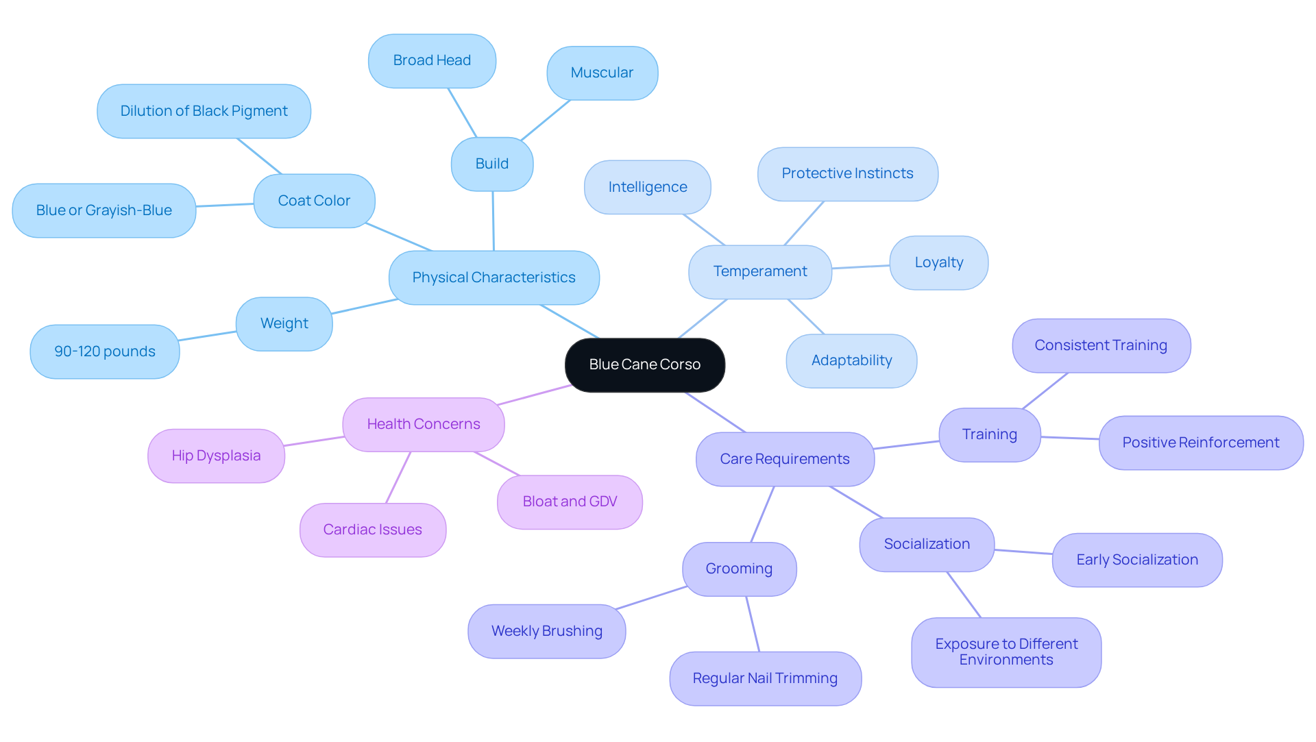 Each branch represents a different aspect of the blue cane corso. You can explore their physical traits, personality, care needs, and health issues by following the branches from the central idea.