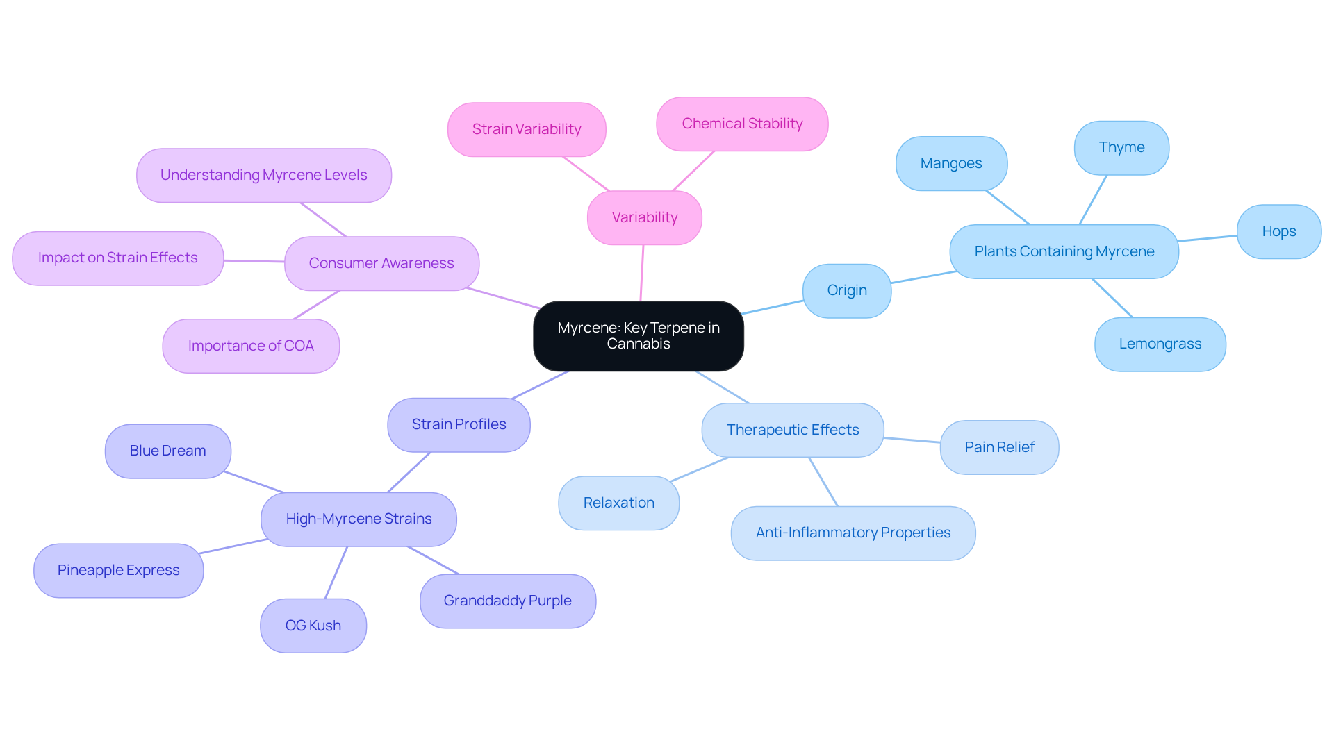 This mindmap starts with myrcene at the center, branching out to show its origins, effects, strain profiles, and important consumer considerations. Each branch represents a key aspect of myrcene, helping you visualize its role in cannabis and its potential benefits.
