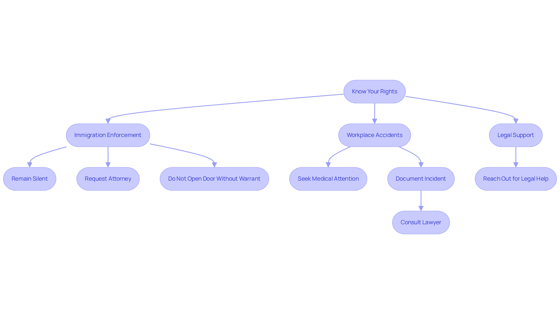 Follow the arrows to see what actions to take in different situations — each box represents a right or step you should remember if you face immigration enforcement or a workplace incident.