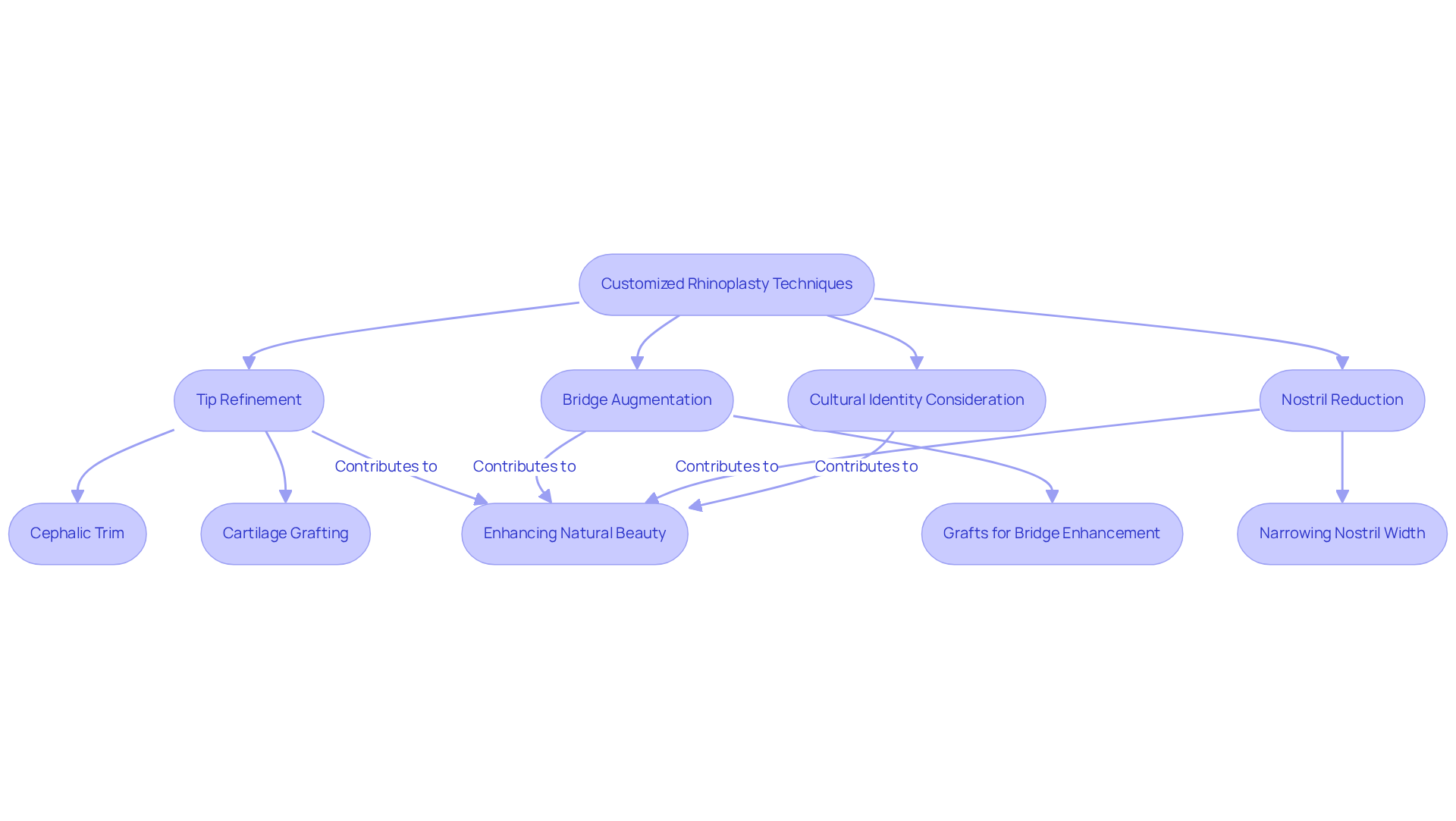 This flowchart illustrates the key techniques used in rhinoplasty tailored for African American women. Each box represents a technique, and the arrows show how they connect to the overall goal of enhancing beauty while honoring cultural identity. Follow the flow to understand how each method contributes to achieving a natural and individualized result. This flowchart illustrates the key techniques used in rhinoplasty tailored for African American women. Each box represents a technique, and the arrows show how they connect to the overall goal of enhancing beauty while honoring cultural identity. Follow the flow to understand how each method contributes to achieving a natural and individualized result.