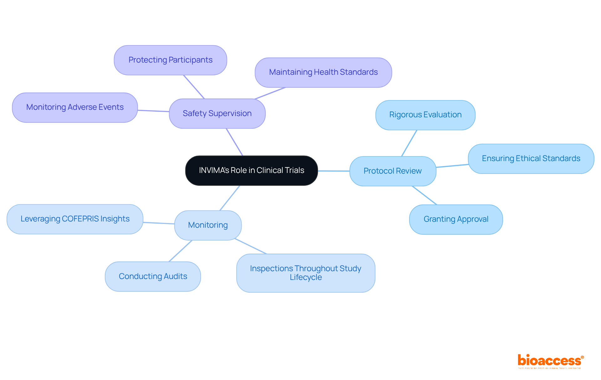 The center represents INVIMA's overall role, while the branches show specific responsibilities. Each color-coded branch helps you quickly identify different areas of focus.