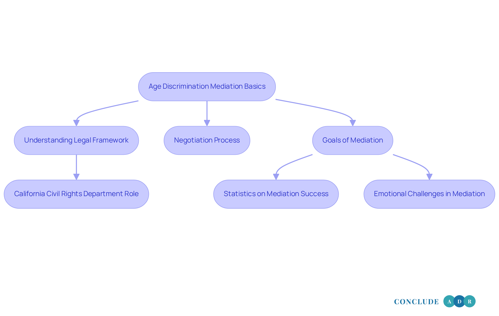 Follow the arrows to see how each part of the mediation process connects. Each step represents a crucial element in resolving age discrimination disputes, guiding you from understanding the laws to achieving a resolution.