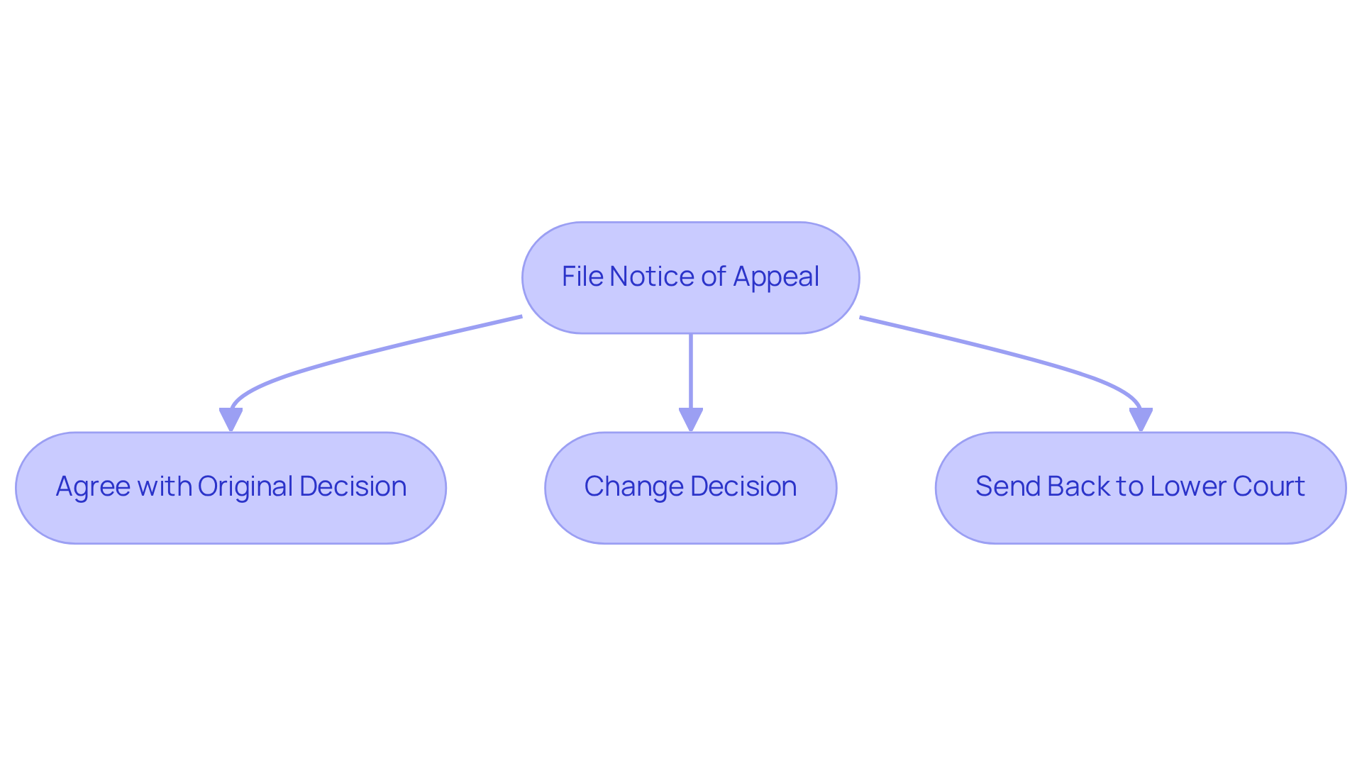 This flowchart shows the steps you need to take after a labor lawsuit verdict. Start by filing your notice of appeal, then follow the arrows to see what the appellate court can decide. Each outcome represents a different path your case could take.
