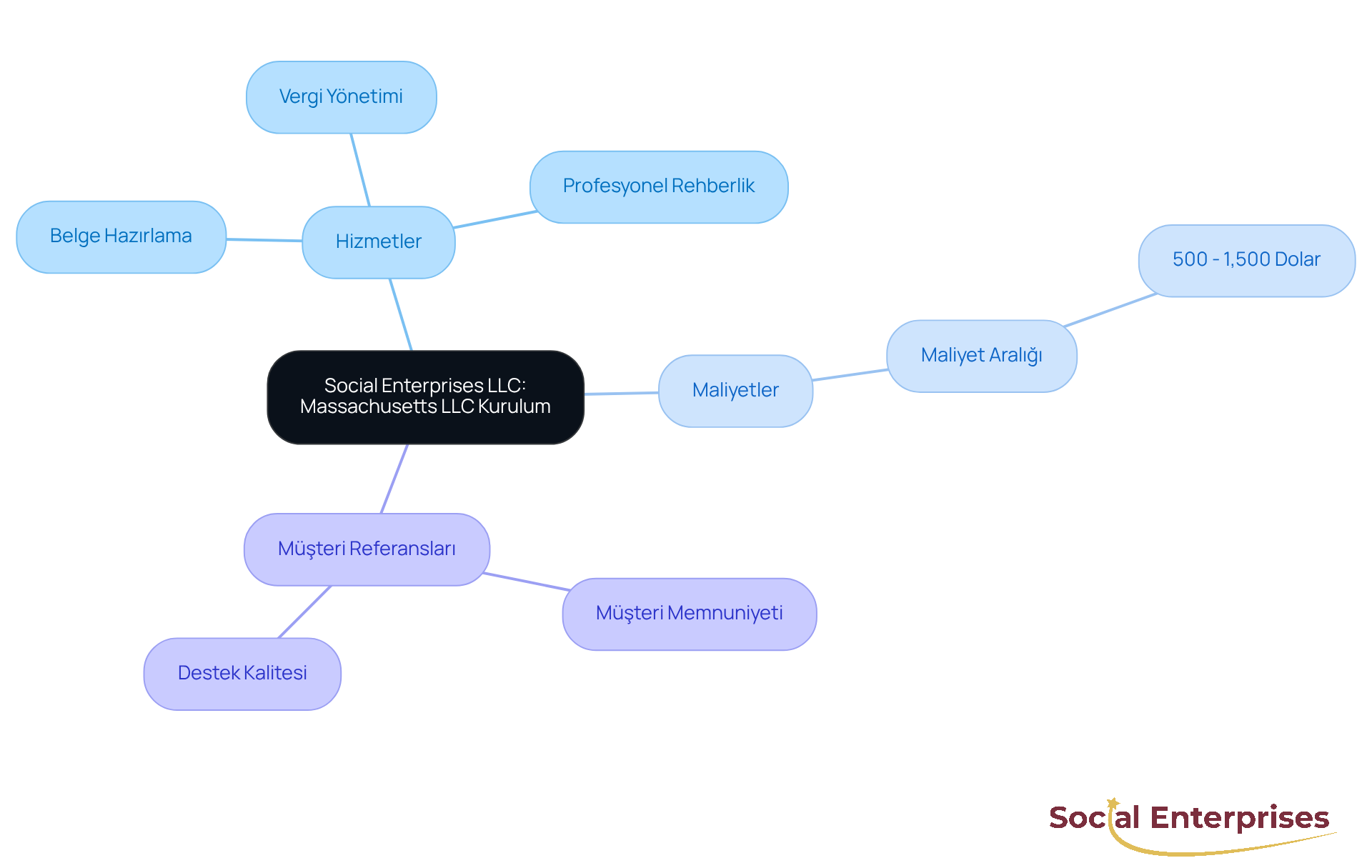 Merkezdeki başlıktan çıkan dallar, girişimcilere sunulan hizmetlerin türlerini ve maliyet aralıklarını gösteriyor. Her dal, farklı bir konu hakkında bilgi sunarak, okuyucunun süreci daha iyi anlamasını sağlıyor.