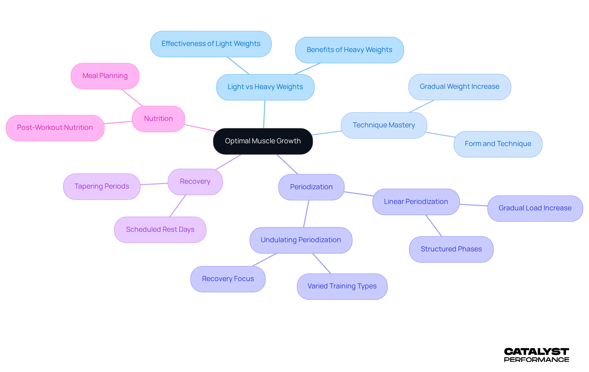 The center represents the main goal of muscle growth, with branches showing different strategies and concepts that contribute to achieving that goal. Each color-coded branch helps you see how various elements work together. The center represents the main goal of muscle growth, with branches showing different strategies and concepts that contribute to achieving that goal. Each color-coded branch helps you see how various elements work together.