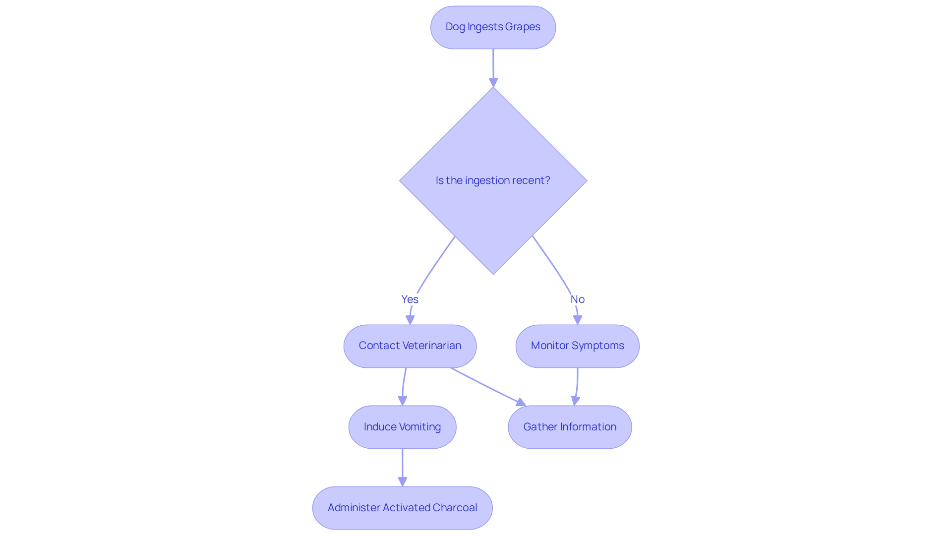 This flowchart guides you through what to do if your dog eats grapes. Start at the top and follow the arrows to see each step, making sure to reach out to your vet quickly!