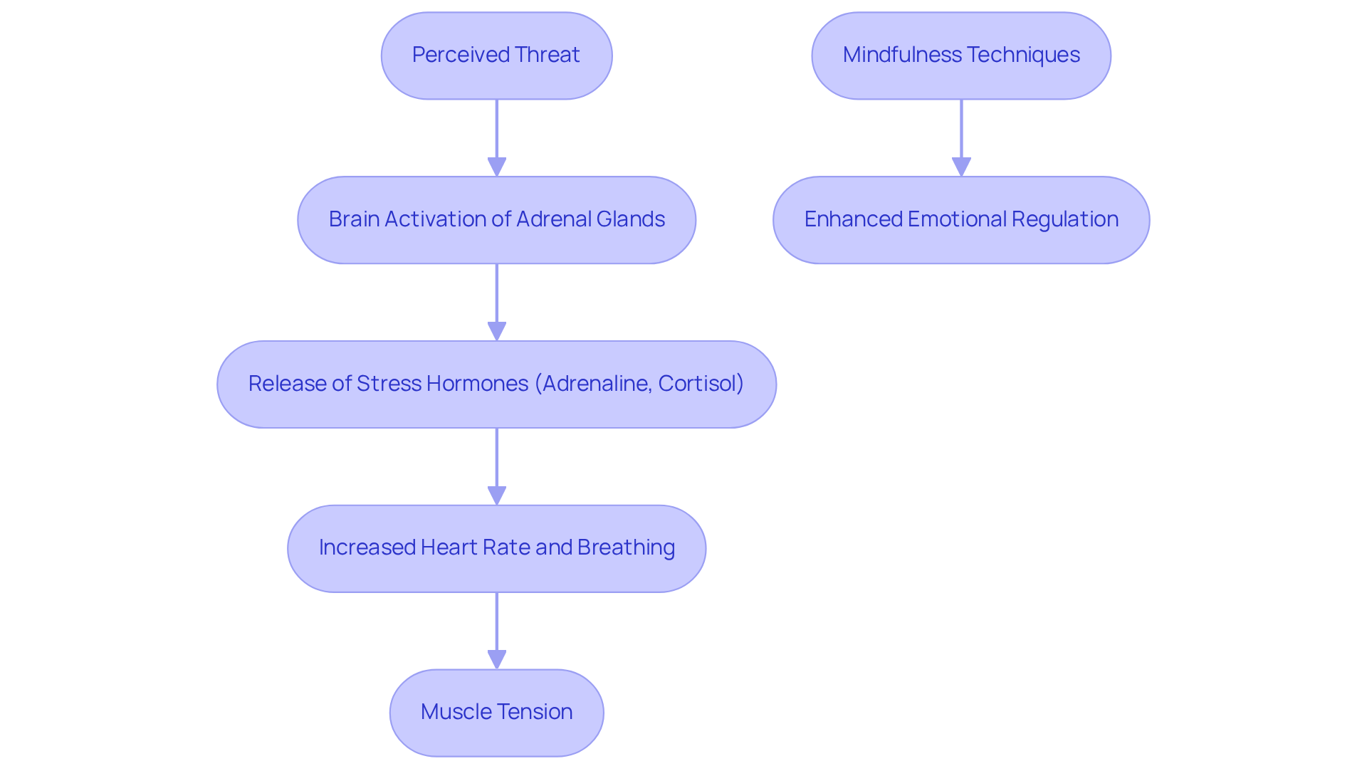Follow the arrows to see how perceived threats lead to physical tension. Mindfulness techniques can help improve emotional regulation, breaking the cycle of anxiety.