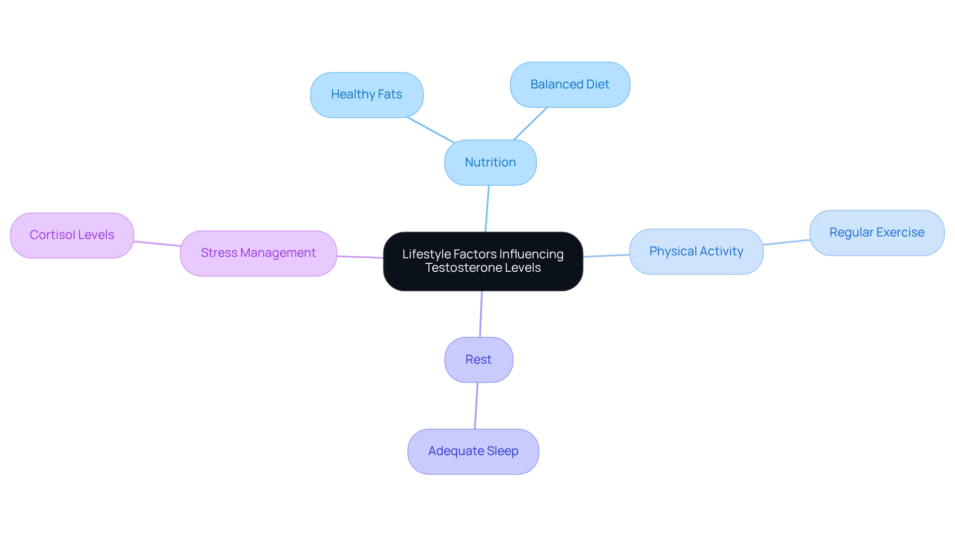 This mindmap shows how different lifestyle choices impact testosterone levels. Start at the center with the main theme, then explore each branch to see how nutrition, exercise, sleep, and stress management contribute to hormone health. This mindmap shows how different lifestyle choices impact testosterone levels. Start at the center with the main theme, then explore each branch to see how nutrition, exercise, sleep, and stress management contribute to hormone health.