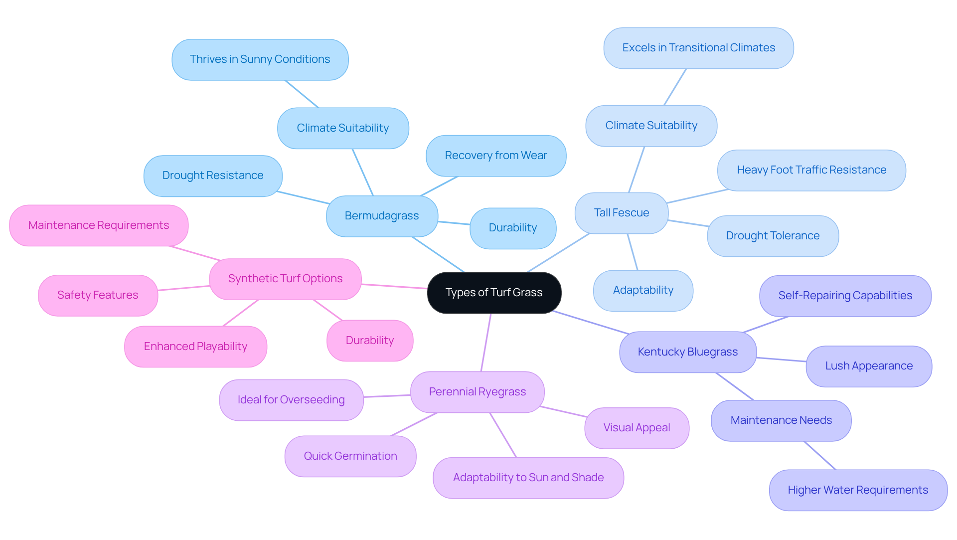 The central node represents the main topic of turf grass types. Each branch shows a specific type of grass, and the sub-branches highlight important characteristics. This layout helps you quickly grasp the differences and benefits of each option.