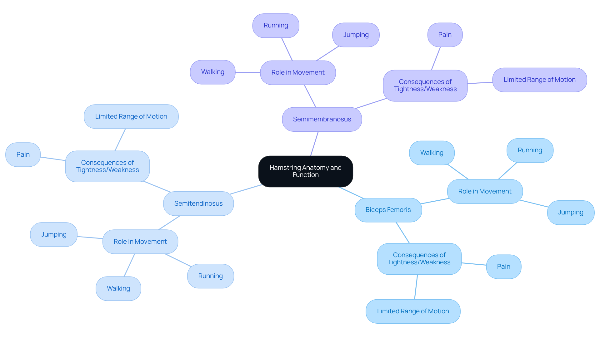 This mindmap illustrates the key muscles in the back of your thigh and their functions. Each branch shows how these muscles contribute to movement and what happens when they are not functioning well. Follow the branches to see how muscle health affects your overall mobility and pain management. This mindmap illustrates the key muscles in the back of your thigh and their functions. Each branch shows how these muscles contribute to movement and what happens when they are not functioning well. Follow the branches to see how muscle health affects your overall mobility and pain management.