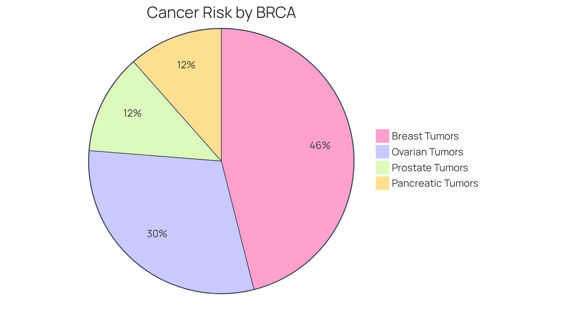 Each slice of the pie shows the likelihood of developing a specific type of cancer for individuals with BRCA mutations. The larger the slice, the higher the risk associated with that cancer type.