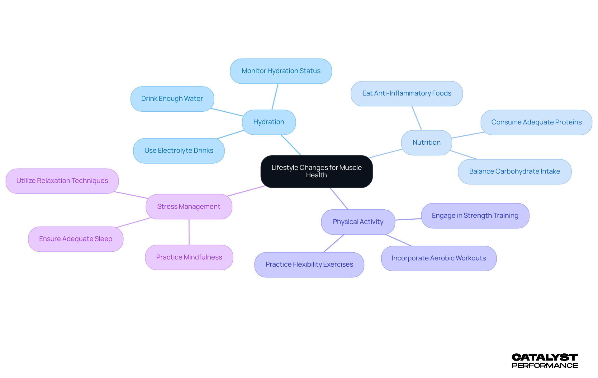 The central node represents the overall goal of improving muscle health, while each branch highlights a key area of focus. Follow the branches to explore specific actions you can take to support your muscle health journey. The central node represents the overall goal of improving muscle health, while each branch highlights a key area of focus. Follow the branches to explore specific actions you can take to support your muscle health journey.