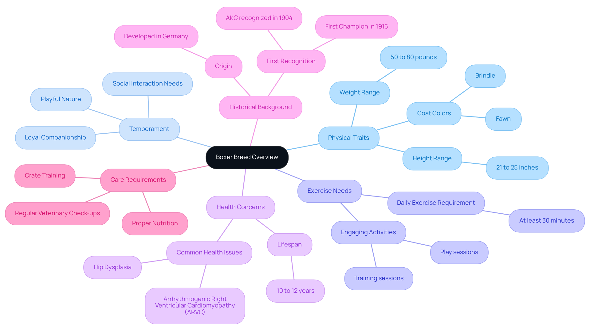 In this mindmap, the center represents the Boxer breed, and the branches show different key aspects. Each branch helps explain something important about Boxers, like their exercise needs or health concerns, giving you a fuller picture of this wonderful breed.