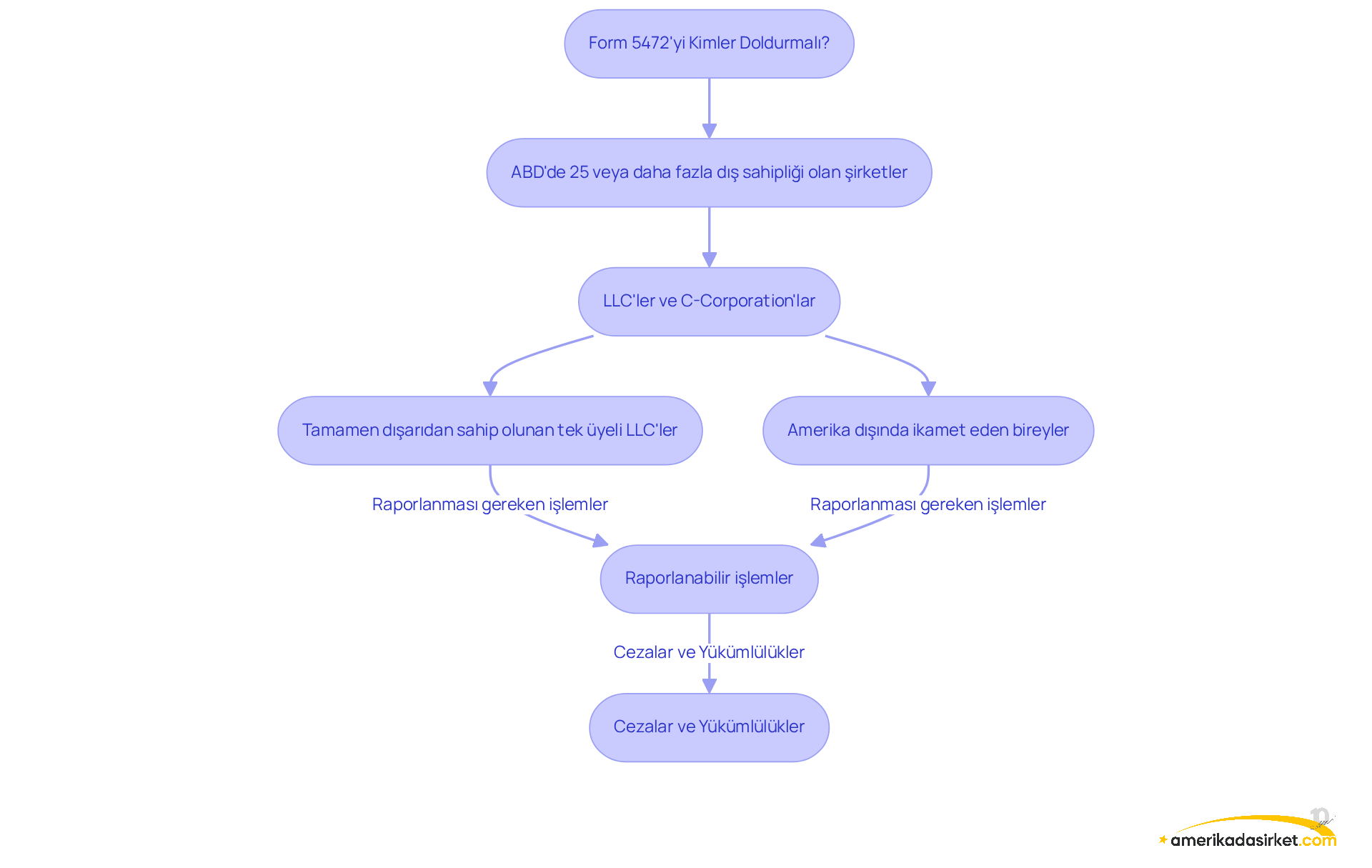 Bu diyagram, Form 5472'yi doldurması gerekenleri ve hangi durumlarda doldurulması gerektiğini gösterir. Her kutu, belirli bir durumu temsil eder ve oklar, bu durumların nasıl birbirine bağlı olduğunu gösterir.