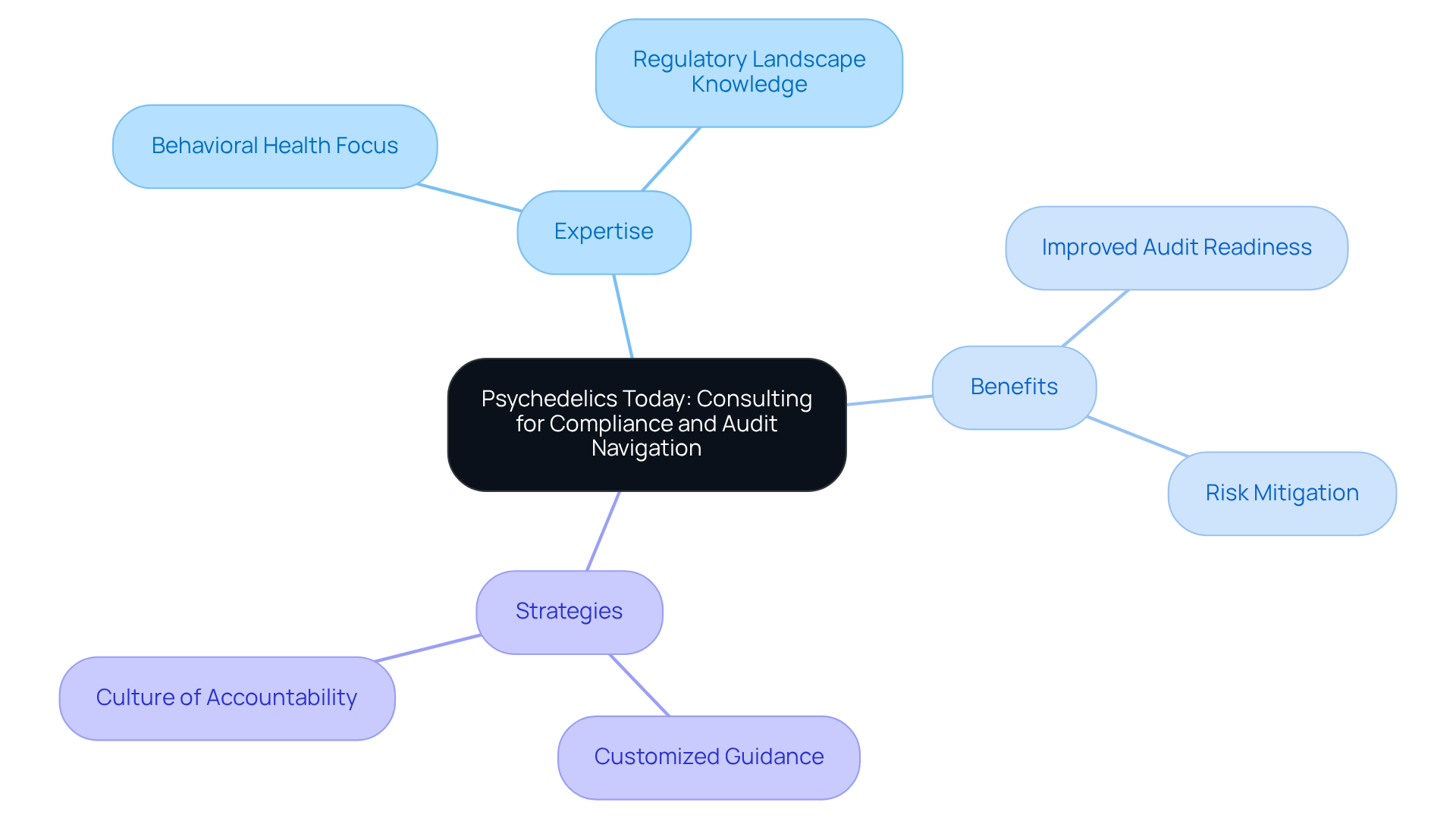 The center represents the main consulting service, while the branches show the different aspects of how they help behavioral health entities. Each color-coded branch highlights a specific area of focus, making it easy to see how everything connects.