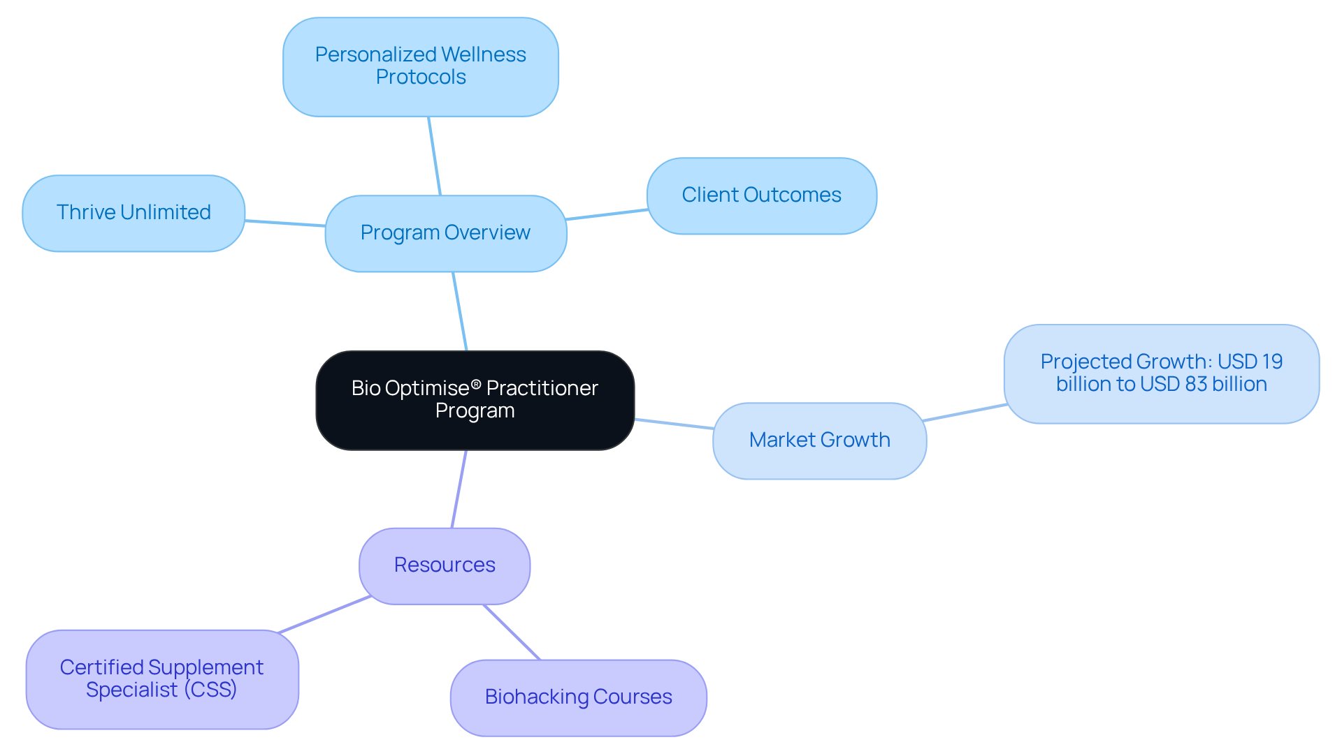 The central node represents the program, while branches illustrate its components and market context, helping you visualize how everything connects. The central node represents the program, while branches illustrate its components and market context, helping you visualize how everything connects.