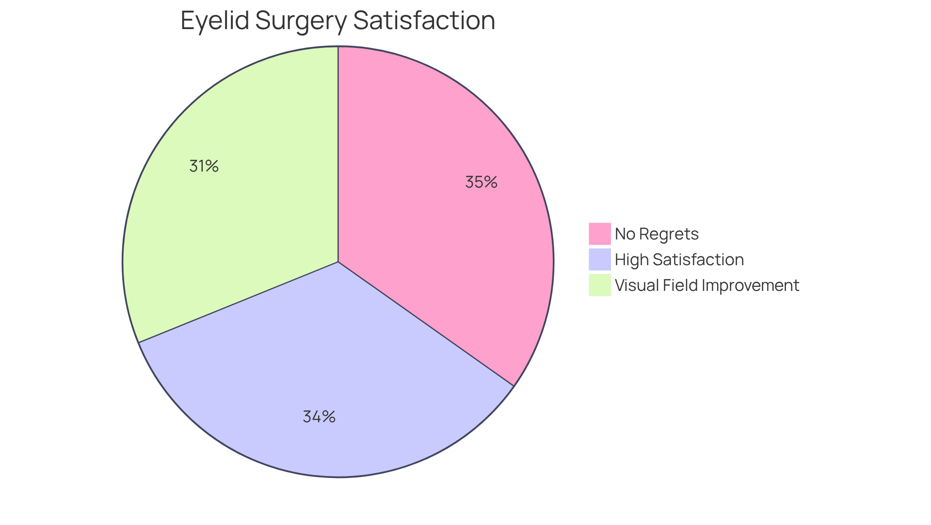 Each slice of the pie shows how satisfied patients are with their eyelid surgery. The bigger the slice, the more people felt positive about their experience. This helps you see how common these feelings are among patients. Each slice of the pie shows how satisfied patients are with their eyelid surgery. The bigger the slice, the more people felt positive about their experience. This helps you see how common these feelings are among patients.