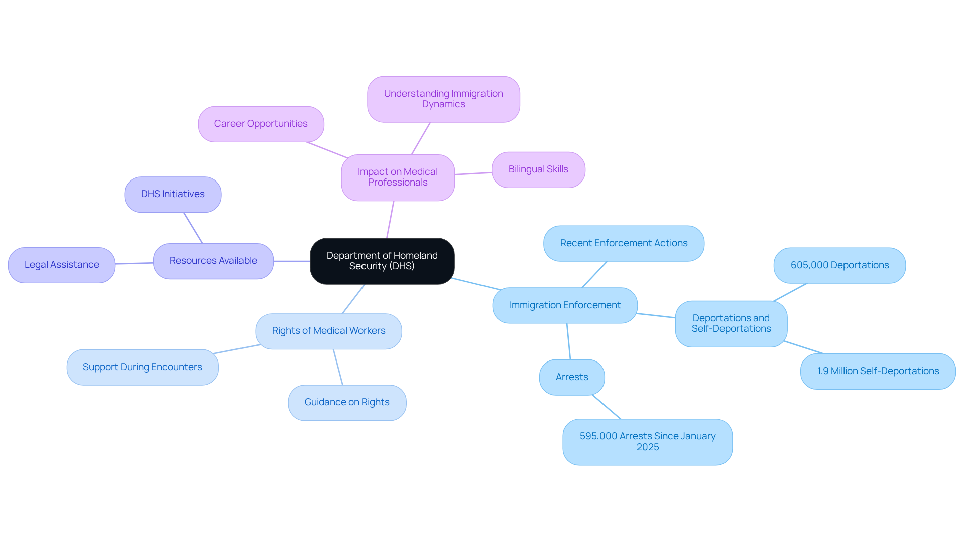 The central node represents DHS, while the branches show how it relates to immigration enforcement and the rights and resources available to medical workers. Each branch highlights important aspects that can affect your immigration journey.