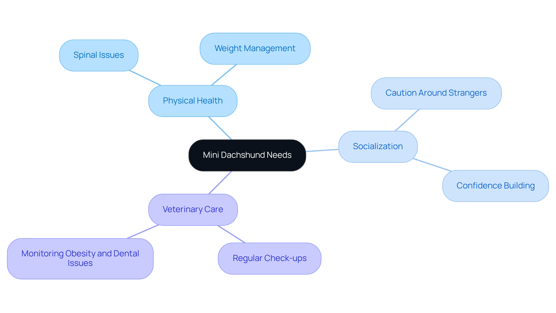 The center represents the overall needs of Mini Dachshunds, and the branches show specific aspects of care. Each color-coded section helps you easily identify areas of focus for keeping your Dachshund healthy and happy.