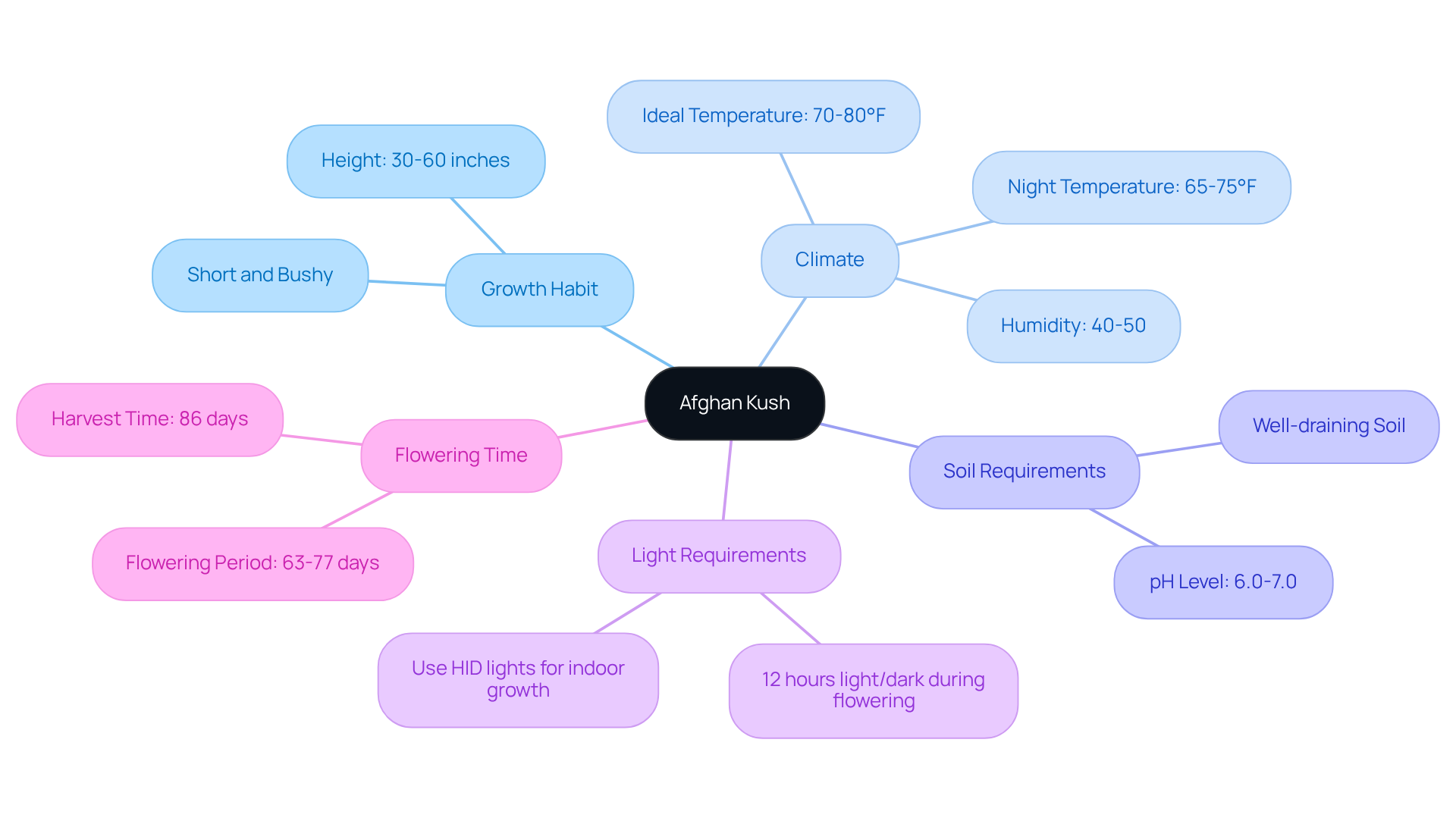 Start at the center with the name of the strain, then follow the branches to discover its growth habits, climate needs, soil preferences, lighting conditions, and flowering times. Each branch contains specific tips to help you grow Afghan Kush successfully.