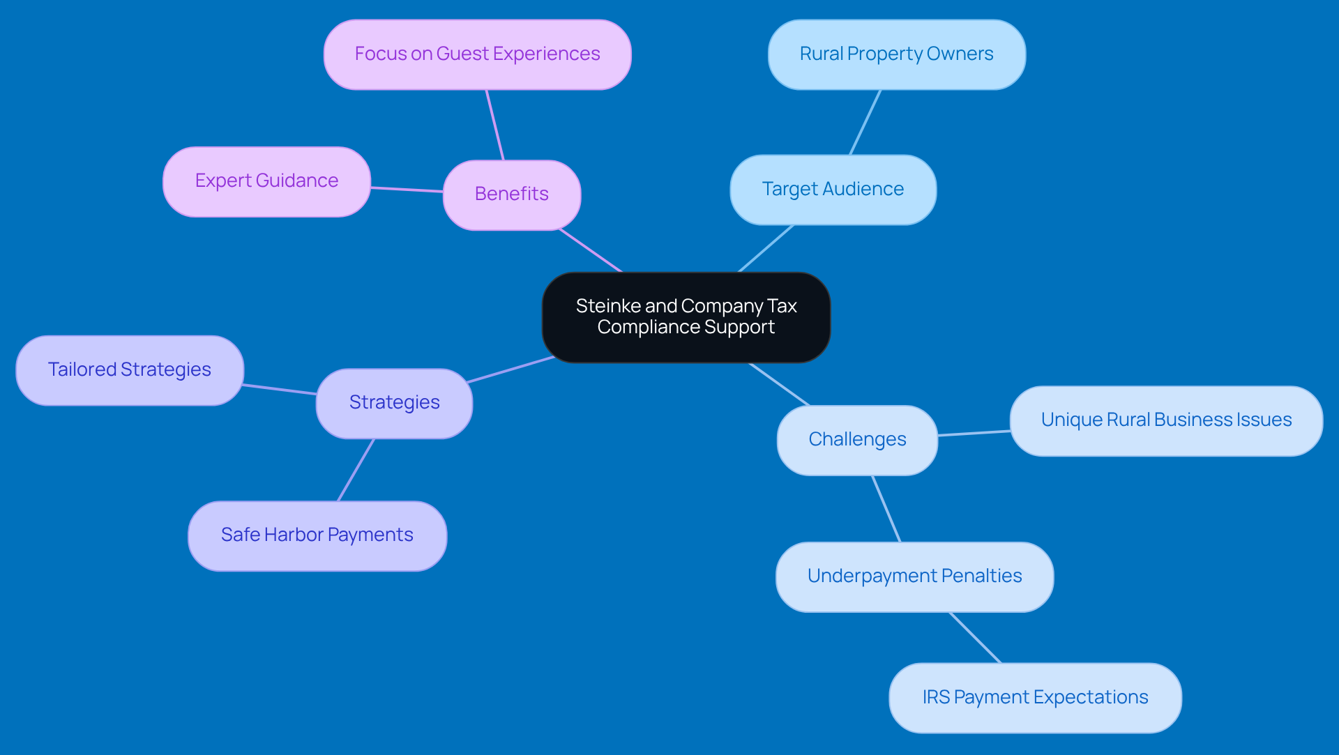 The center represents Steinke and Company, and the branches show who they help, the challenges faced, the strategies they offer, and the benefits of working with them. Follow the branches to understand how everything connects!