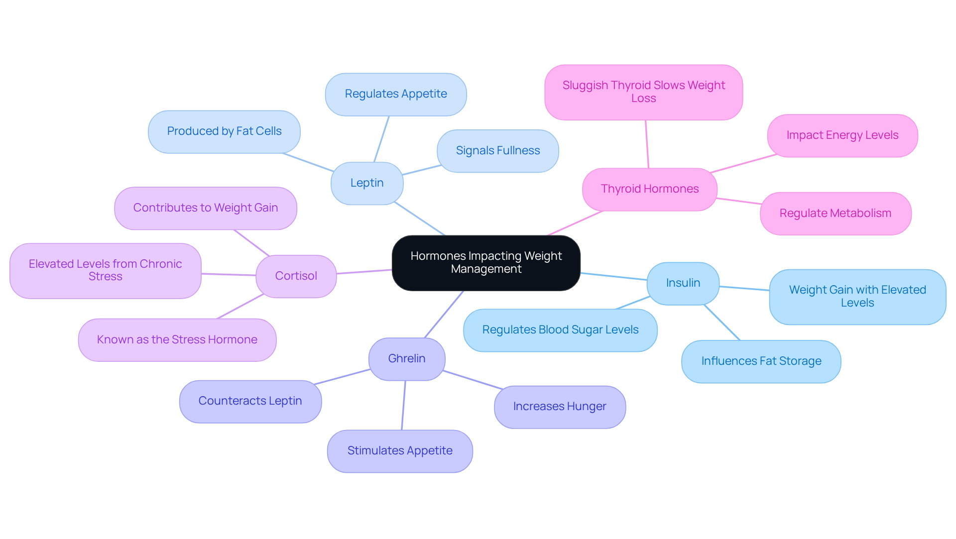 The central node represents the main topic of hormones affecting weight. Each branch shows a specific hormone, and the sub-branches explain how they influence weight management. The colors help differentiate each hormone for easier understanding.