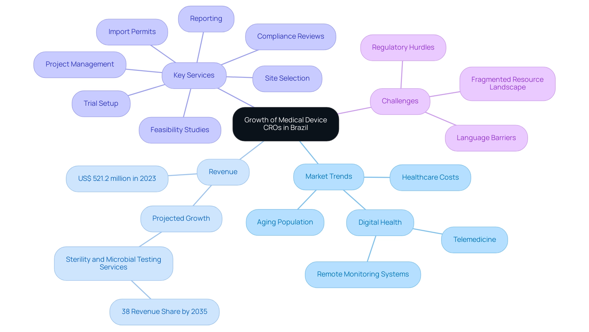 The central node represents the main topic, with branches illustrating market trends, revenue, key services, and challenges faced by the industry.