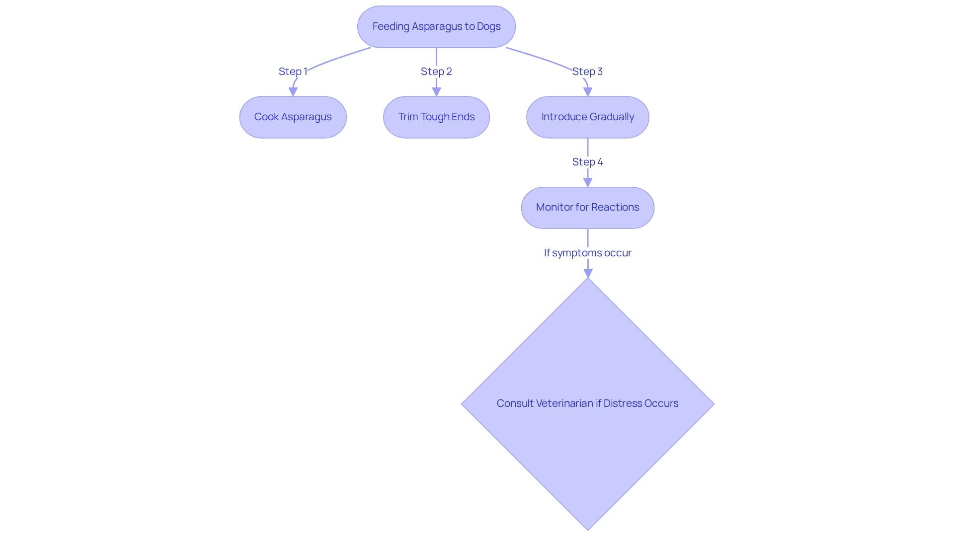 Follow the arrows from the starting point to learn how to safely add asparagus to your dog's diet. Each step shows what to do and why it matters for your pet's health.