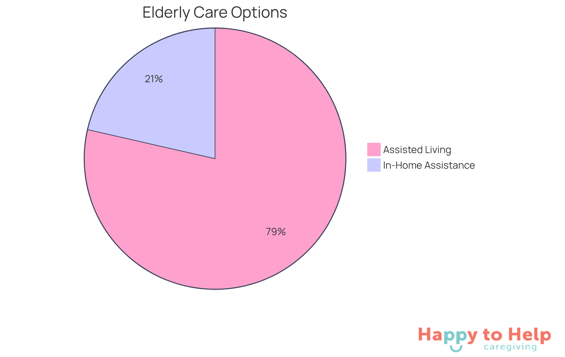 Each slice of the pie shows the proportion of elderly individuals receiving different types of care - the larger the slice, the more people prefer that option.