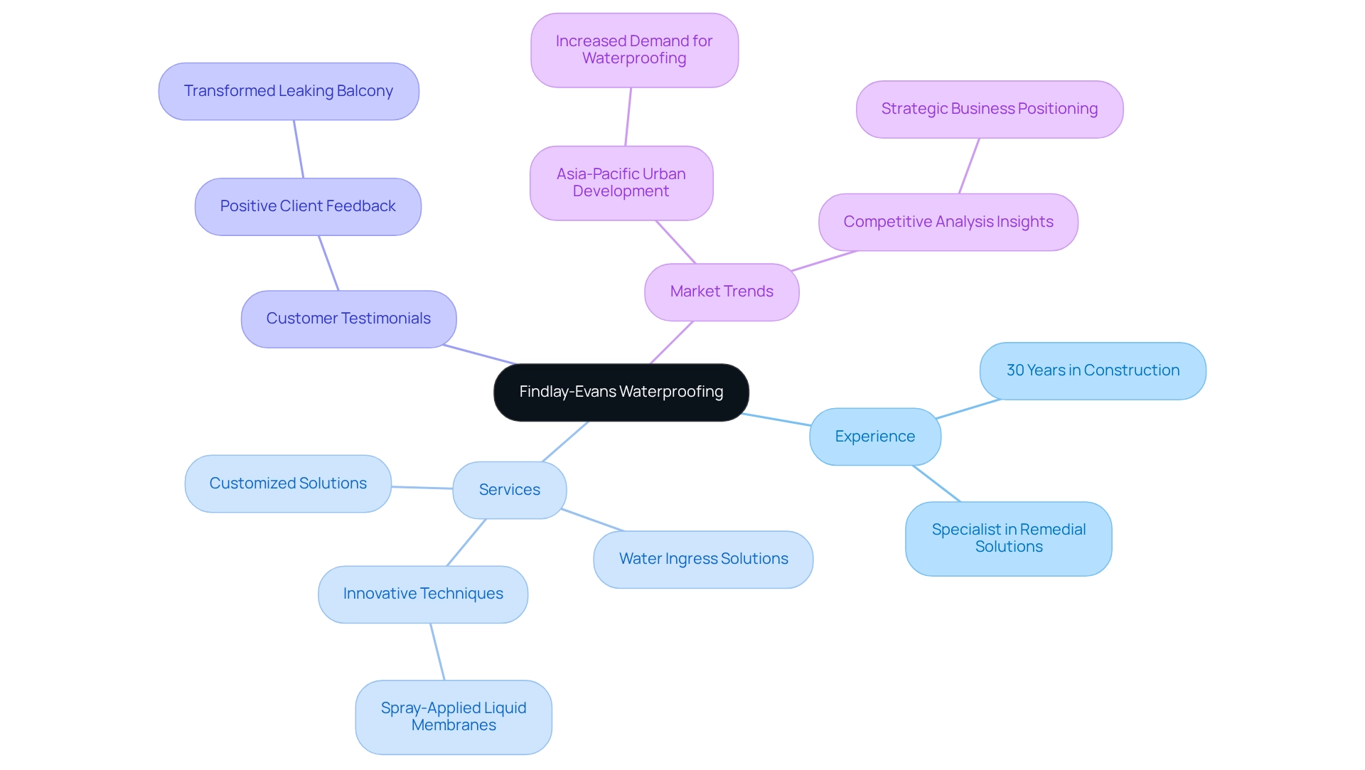 The center represents the company, with branches for their experience, the services they offer, what customers say, and market opportunities — each branch gives a snapshot of the company's strengths and market positioning.