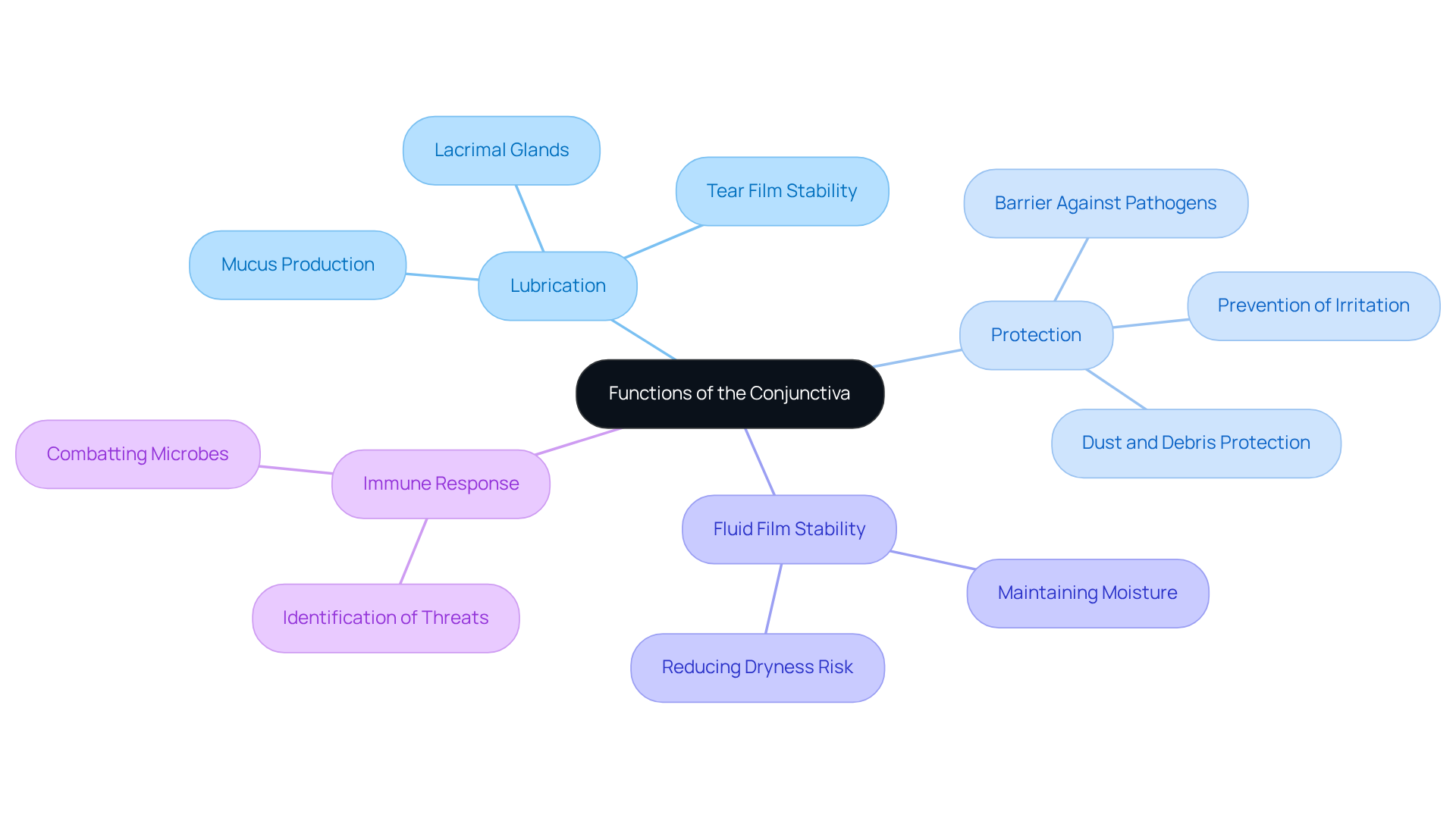 The central node represents the conjunctiva's functions, with branches showing how each function contributes to eye health. Explore each branch to understand the specific roles and importance of the conjunctiva. The central node represents the conjunctiva's functions, with branches showing how each function contributes to eye health. Explore each branch to understand the specific roles and importance of the conjunctiva.