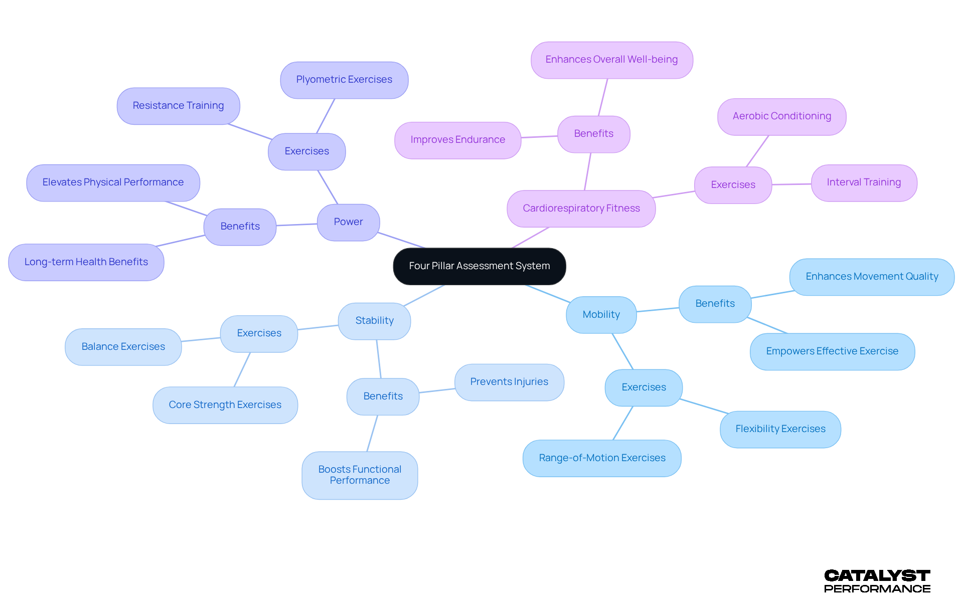 The center represents the overall assessment system, while each branch shows a vital area of health. Explore each pillar to see how it contributes to your personal training and overall wellness.
