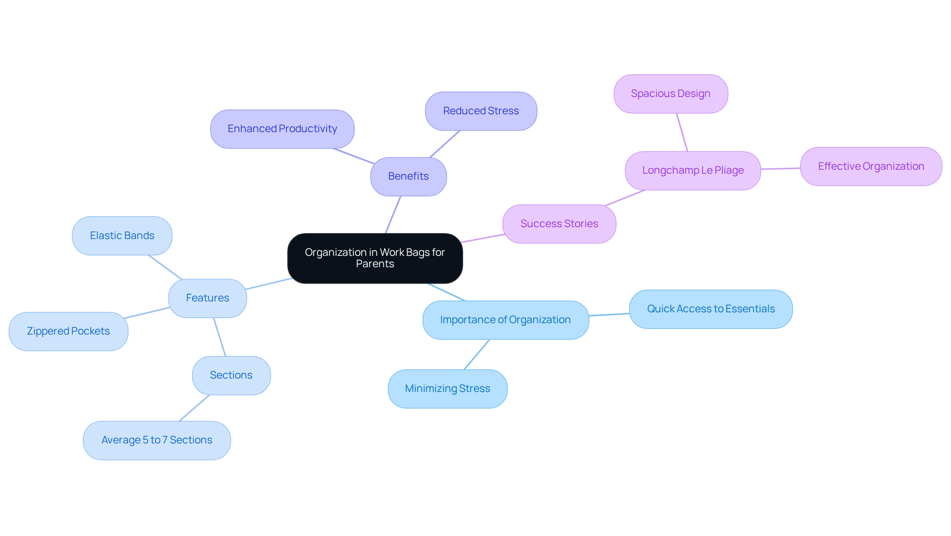 The center shows the main idea of organization in bags, with branches detailing important features and benefits. Each color-coded branch helps you see how everything connects to the central theme.