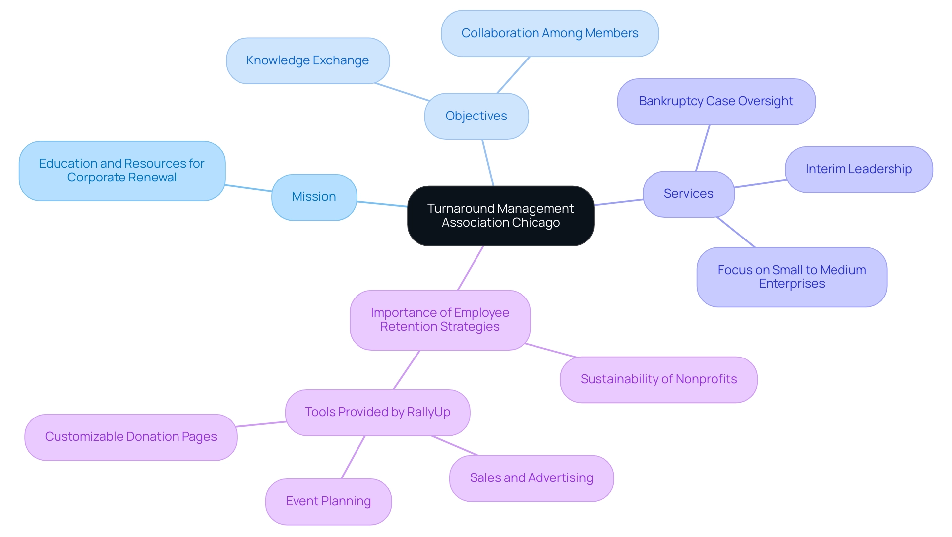 The central node represents the association, with branches showing its mission, objectives, and services, each color-coded for clarity.