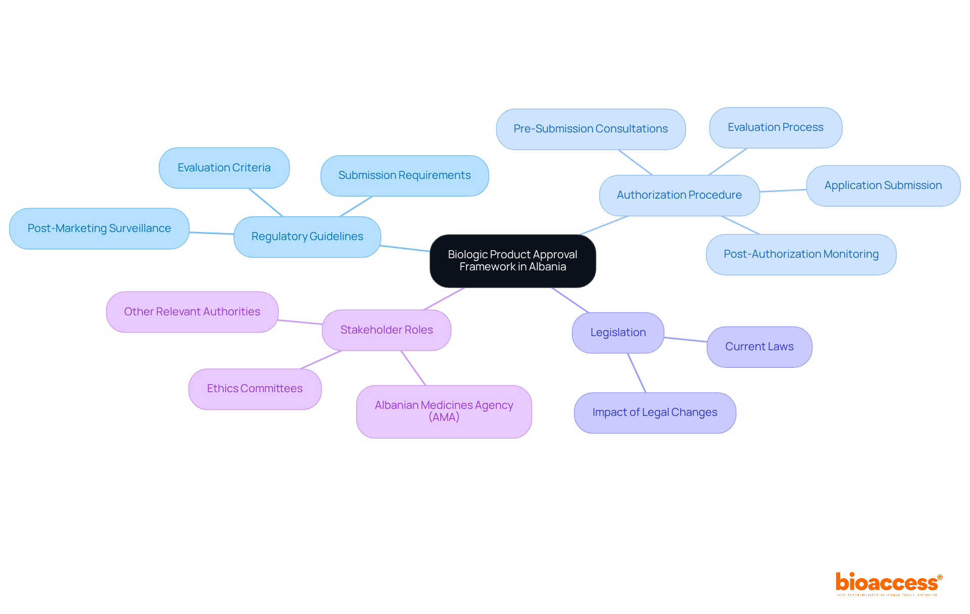 The central node represents the overall framework, while the branches show key components that are essential for understanding the approval process. Each color-coded branch helps you identify different areas of focus.