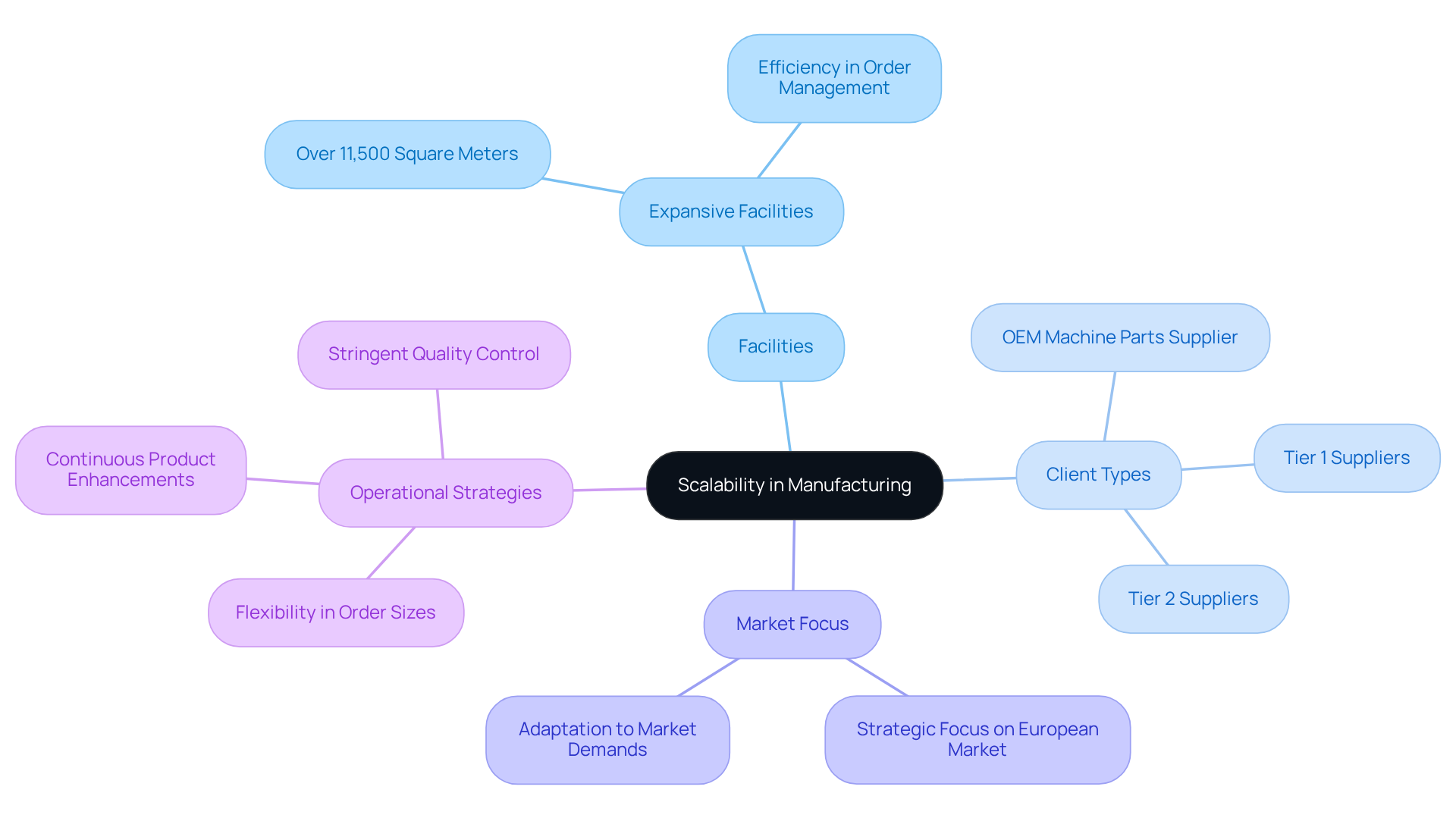 The center represents the main idea of scalability, while the branches show how the company adapts to different clients and market demands. Each color-coded branch highlights a specific aspect of their strategy. The center represents the main idea of scalability, while the branches show how the company adapts to different clients and market demands. Each color-coded branch highlights a specific aspect of their strategy.
