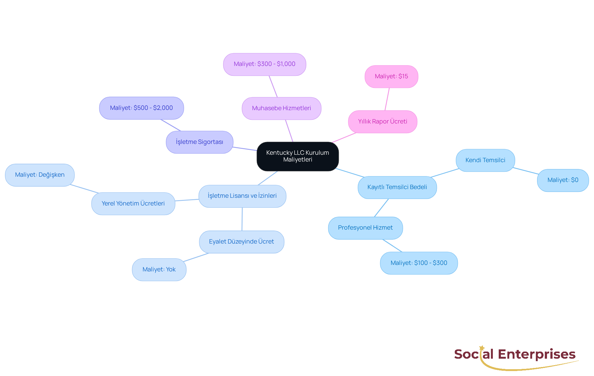Merkezde LLC kurulum maliyetleri var, ve dallar üzerinde her bir maliyet kalemi yer alıyor. Her dalın altında, belirli maliyet aralıkları veya açıklamalar ile detaylandırılmış bilgiler bulunuyor.