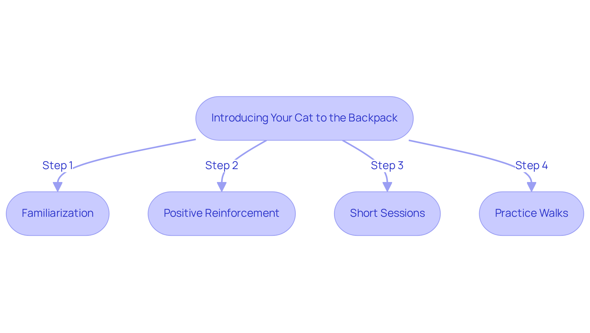 Each box outlines a step in the process of getting your cat comfortable with their backpack. Follow the arrows to see the recommended order for introducing these strategies.