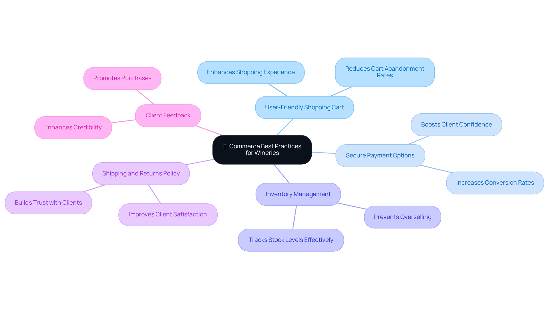 The central node represents the main goal of enhancing e-commerce capabilities. Each branch illustrates a specific best practice, showing how these practices are interconnected and contribute to improved direct sales and customer relationships.