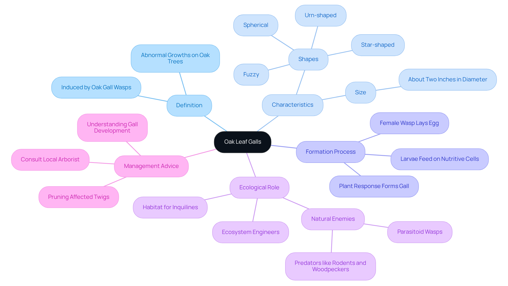 The center shows what oak leaf galls are, and the branches explain their features, how they form, their role in the ecosystem, and what to do if you have concerns. The center shows what oak leaf galls are, and the branches explain their features, how they form, their role in the ecosystem, and what to do if you have concerns.