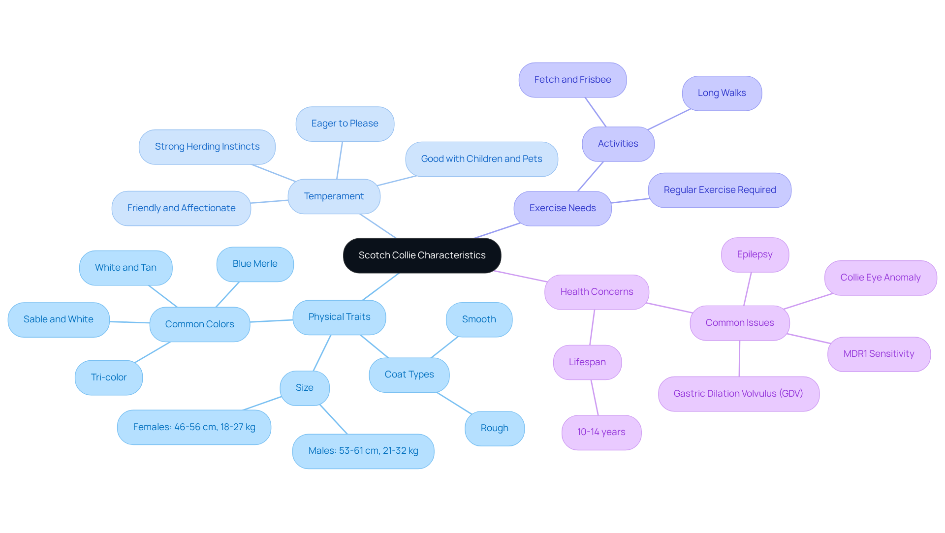 Start at the center with the Scotch Collie, then follow the branches to explore its physical traits, temperament, exercise requirements, and health concerns. Start at the center with the Scotch Collie, then follow the branches to explore its physical traits, temperament, exercise requirements, and health concerns.